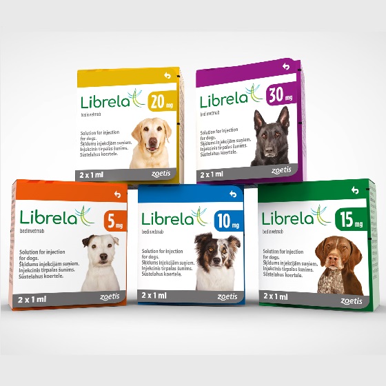 进展|Librela(Bedinvetmab)美国获批控制狗的骨关节炎(OA)疼痛 | 百配健康-阅读越健康!