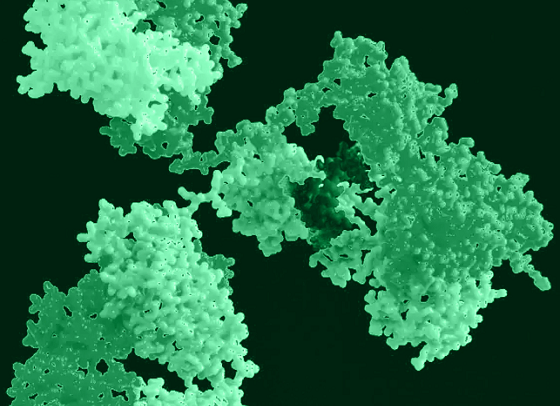 首款|人工智能创建的开源基因编辑器OpenCRISPR-1在美国成功编辑人类基因组 | 百配健康-阅读越健康!